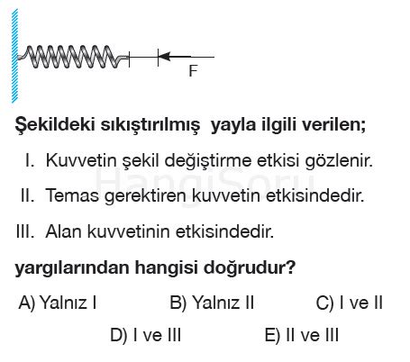 S N F Fizik Kuvvet Testi Z Test Z