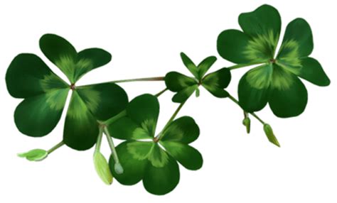 Shamrock Multiple Transparent Png Stickpng