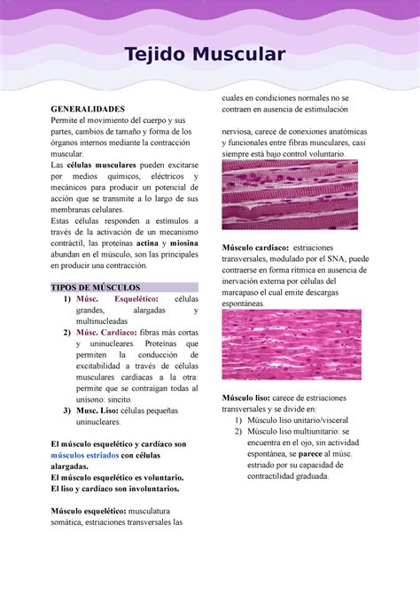 3 Tejido Muscular Apuntes De La Clase Para La Solemne GENERALIDADES