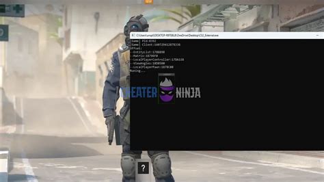 External Hack For Cs Aimbot Esp More Cheater Ninja