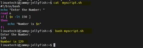 How To Use If Statement In Bash Scripting