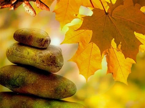 Mindfulness 8 Beneficios De La Atención Plena Psiquisalud