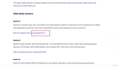 mac for m1 arm ：安装redis的四种方式（本机安装、homebrew安装、虚拟机安装、docker安装） mac m1安装redis csdn博客