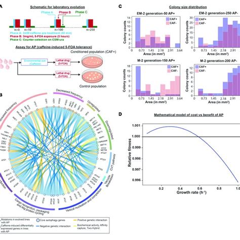 regulation of emergence of adaptive prediction ap during laboratory download scientific