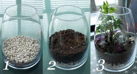 Como Fazer Um Terrario Para Plantas Passo A Passo