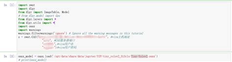 problem of dlpy import onnx tinyyolov2 ipynb · issue 231 · sassoftware python dlpy · github