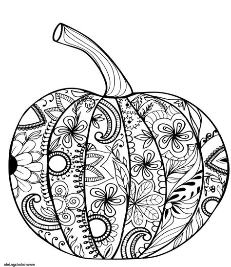 10 Paisible Coloriage De Citrouille Stock Pumpkin Coloring Pages