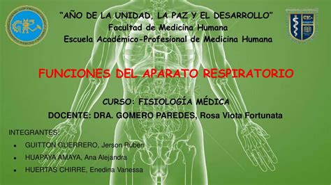 Otras Funciones Del Aparato Respiratorio Jerson Guitton UDocz