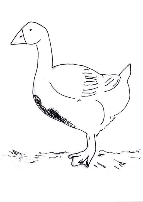 Goose Coloring Sheet Coloring Pages