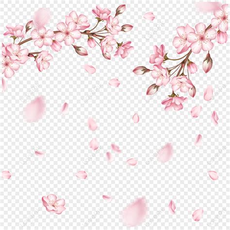 Spring Light Effect Pink Cherry Blossom Petals Falling Effects Spring