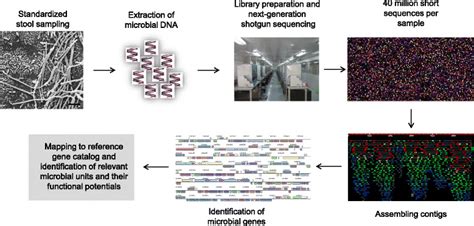 example of a quantitative metagenomics pipeline a metagenomics download scientific diagram