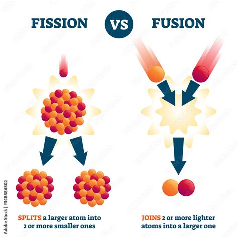 Fission Vs Fusion Vector Illustration Nuclear Reaction Comparison
