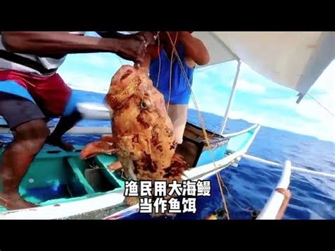 渔民用大海鳗当作鱼饵钓上一条大石斑鱼 YouTube