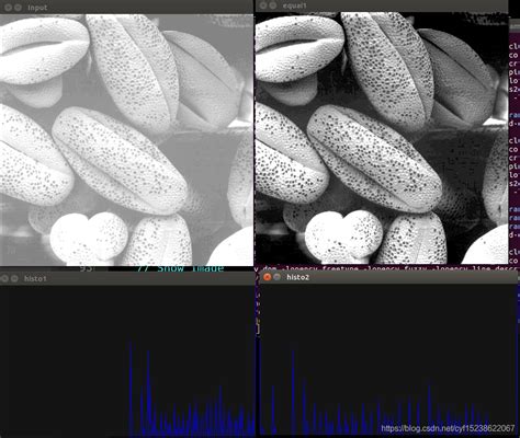 opencv灰度图的直方图均衡化 c opencv gray histo csdn博客