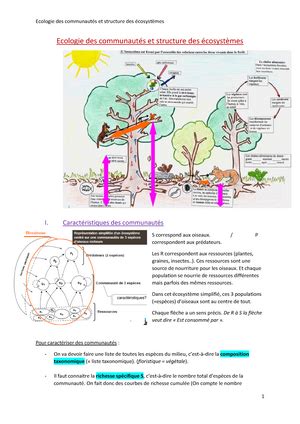 Cours 5 Ecologie Structure Et Dynamique Des Populations STRUCTURE