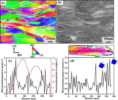 Typical Microstructure Morphology Of Ti Alloy Deformed At C