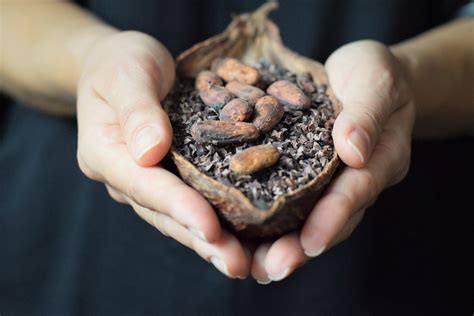 Ara Cacao Especialistas Em Chocolate Servi Os