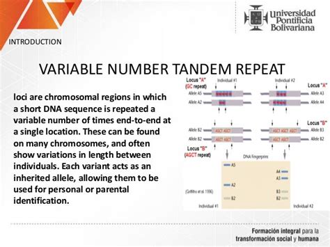 seminario comparison of multiple locus variable number tandem repeat…