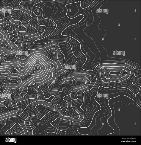 Grey Contours Vector Topography Mountain Terrain Geographic Map