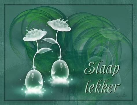 Pin Van Lien Op WhatsApp Pins Von Marion Goede Nacht Slaap Lekker