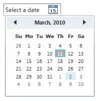 WPF DatePicker Using C