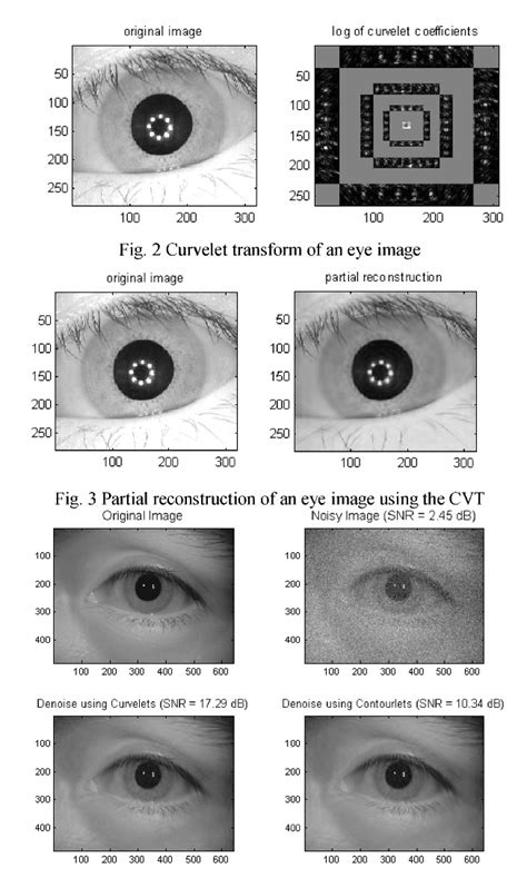 figure 3 from low complexity iris recognition using curvelet transform semantic scholar
