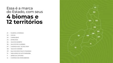 Rafael Fonteles apresenta nova identidade visual do Governo do Piauí