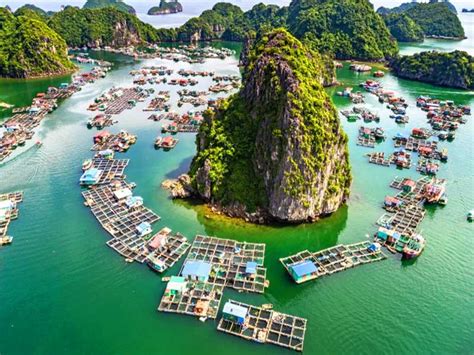 Tour Du Lịch Cát Bà 3 Ngày 2 Đêm