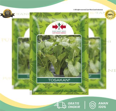 Jual Benih Bibit Sawi Caisim Tosakan 25 Gr Cap Panah Merah