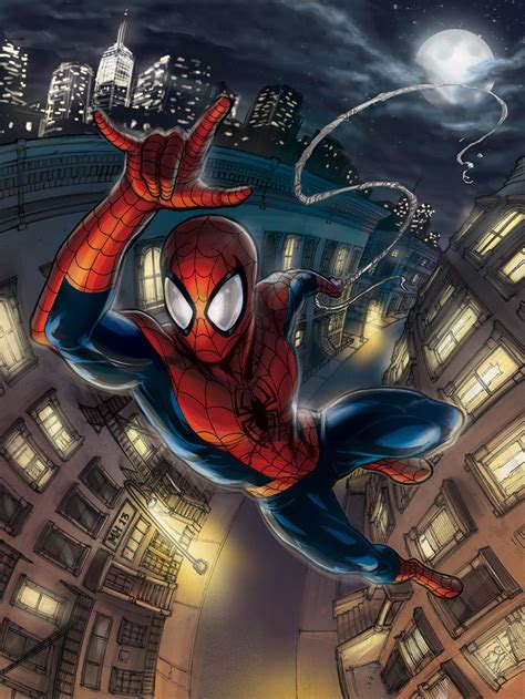 The Amazing Spider Man Artwork By Meghan Hetrick 2013 Amazing