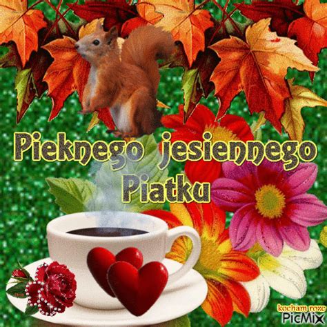 Wiewiórka pięknego jesiennego piątku Gify i obrazki na GifyAgusi pl