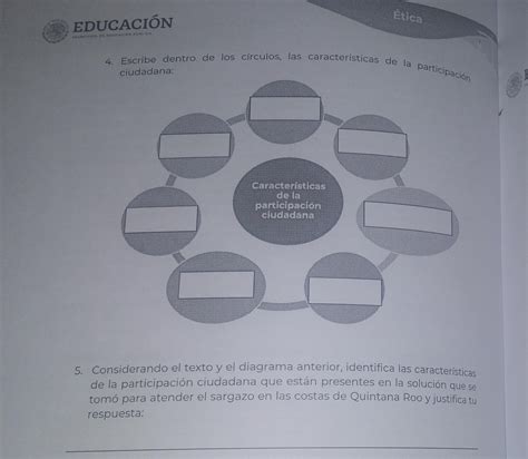 7 Caracteristicas Cortas De La Participacion Ciudadana Y La Pregunta De