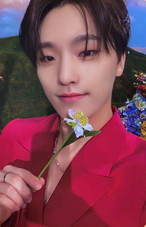 Dino Seventeen Photocard Svt Dinos Chan Kpop Templates Quick