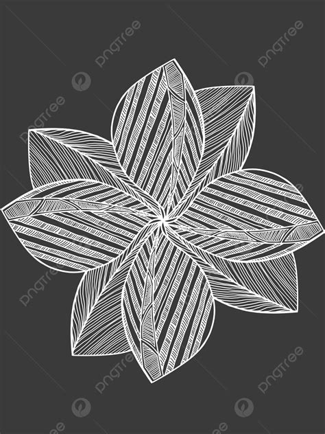 Black And White Hand Drawn Lines Leaves Flowers Shading Hand Drawn