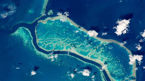 Great Barrier Reef Nasa Images Image Of The Day