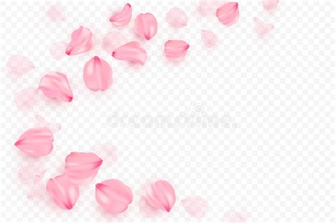 Fondo Rosado Del Vector De Los P talos De Sakura Que Cae Ilustración