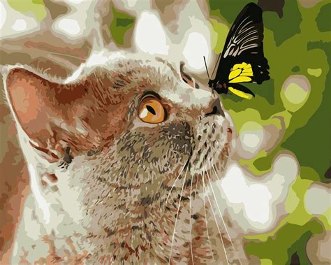 Malowanie Po Numerach 40X50 Cm Kotek I Motylek Rama Hobby Maniak
