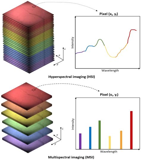 the difference between hyperspectral and multispectral imaging [66] download scientific diagram