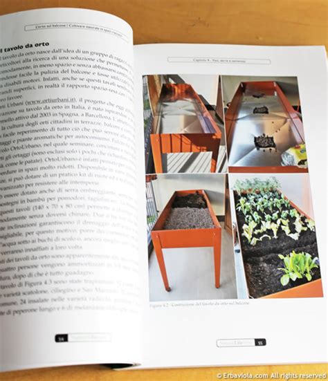 Orto Sul Balcone Il Libro Migliore Erbaviola