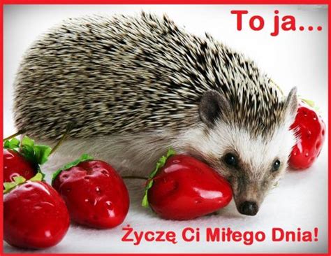 Ekartka To Ja Zycze Ci Milego Dnia E Kartki Net Pl