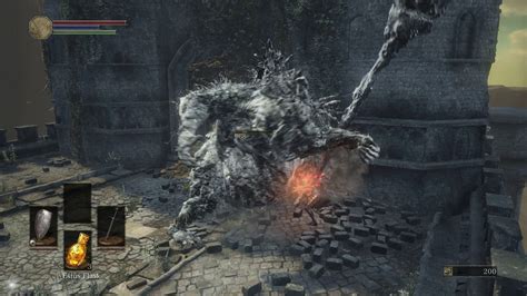 Dark Souls 3 Black Knight Vs Stray Demon YouTube