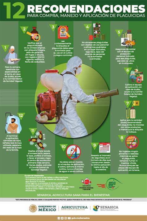 12 Recomendaciones Para La Compra Y Manejo De Plaguicidas Infografia