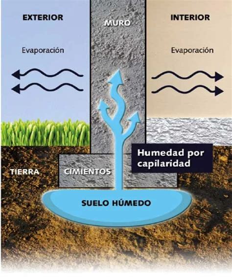 La Humedad Por Capilaridad