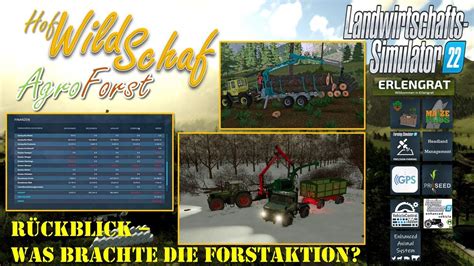 Let S Play LS22 Hof WildSchaf AgroForst 30 Jahresabschluss
