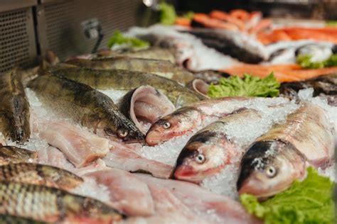 Cómo identificar si el pescado es fresco Consejos útiles