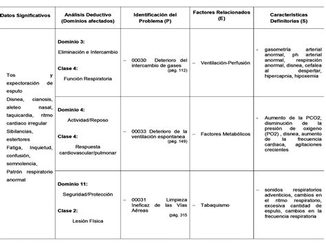 Enfermedad pulmonar obstructiva crónica planes de cuidados de enfermería