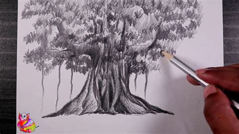 Art192 How To Draw A Banyan Tree Step By Step For Beginners How To Draw