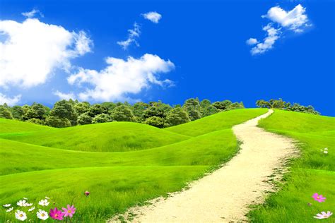 Green Grass Field HD Wallpaper Wallpaper Flare