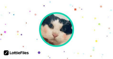 Lottiefiles
