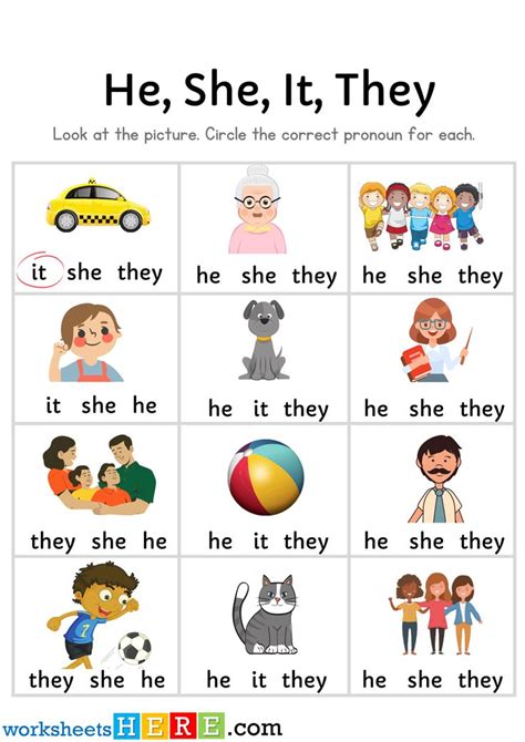 He She They It Pronouns Exercises With Pictures Personal Pronouns PDF